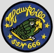 HAWKBILL SSN 666 - NavalCoverMuseum