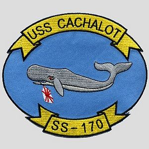 CACHALOT SS 170 - NavalCoverMuseum