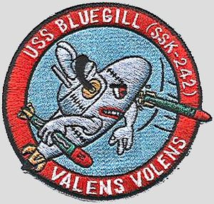 BLUEGILL AGSS 242 - NavalCoverMuseum